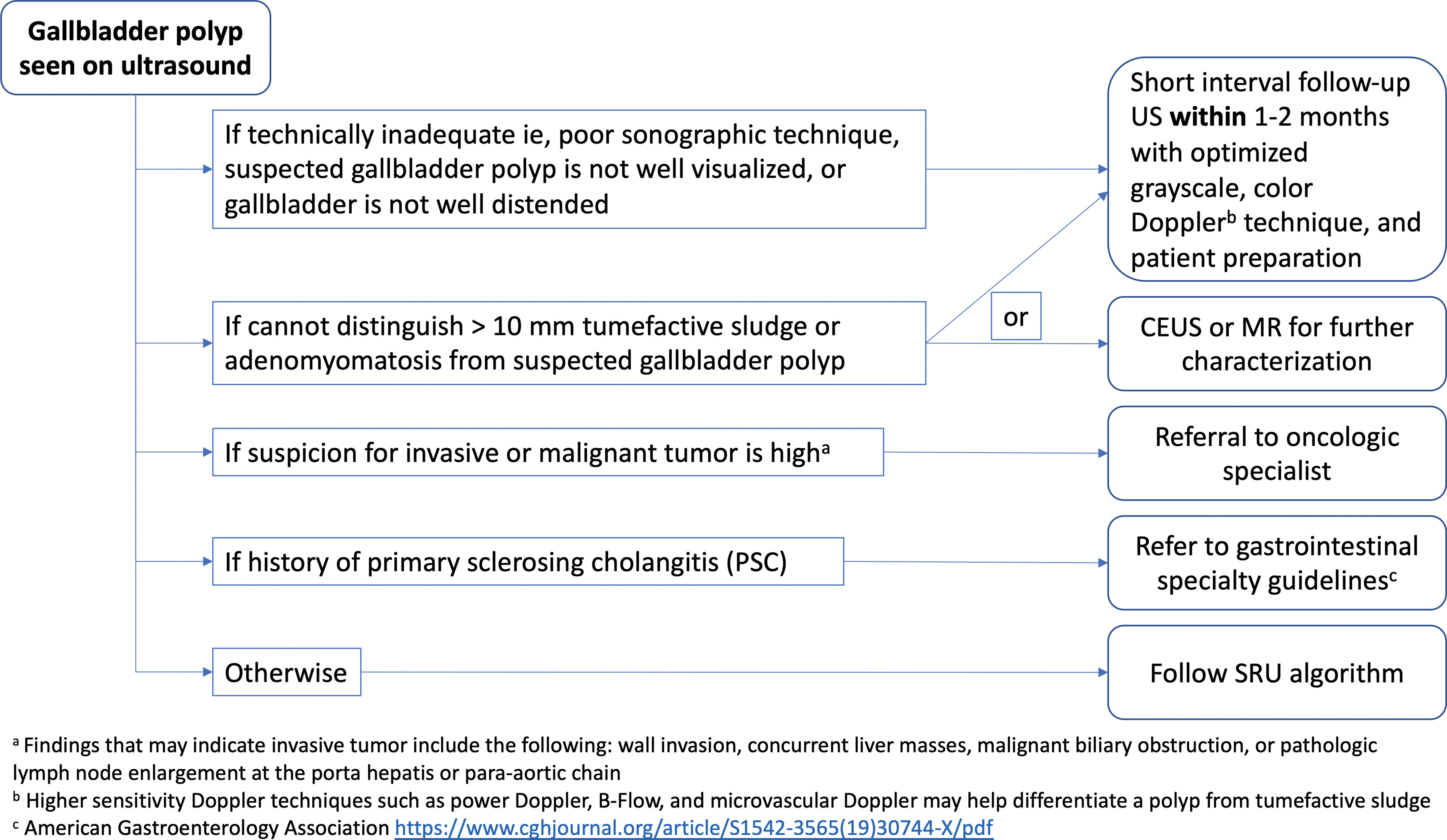 Gallbladder Polyps
